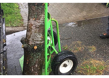 3 Best Tree Services in Quebec, QC - Expert Recommendations