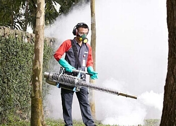 3 Best Pest Control in Milton, ON - Expert Recommendations