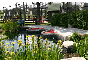 3 Best Amusement Parks in Hamilton, ON - Expert Recommendations