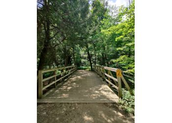 3 Best Hiking Trails in Caledon, ON - Expert Recommendations