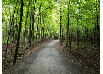3 Best Hiking Trails in Mirabel, QC - Expert Recommendations