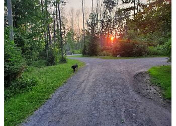 3 Best Hiking Trails in Belleville, ON - Expert Recommendations