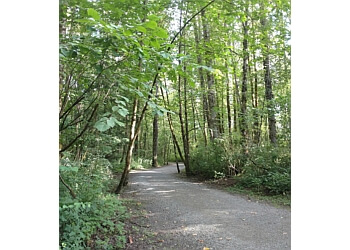 3 Best Hiking Trails in Langley, BC - ThreeBestRated