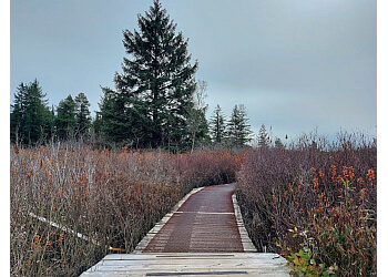 3 Best Hiking Trails in Delta, BC - Expert Recommendations