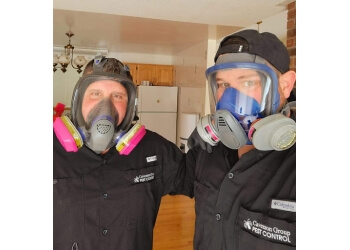 3 Best Pest Control in Kingston, ON - Expert Recommendations