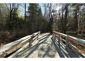 3 Best Public Parks in Moncton, NB - Expert Recommendations