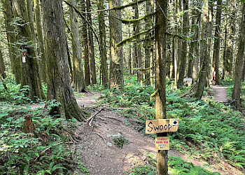 3 Best Hiking Trails in Chilliwack, BC - Expert Recommendations