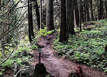3 Best Hiking Trails in Chilliwack, BC - Expert Recommendations
