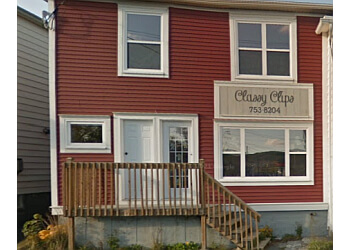 3 Best Pet Grooming in St. John's, NL - ThreeBestRated