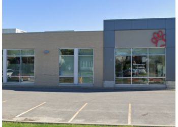 3 Best Veterinary Clinics in Repentigny, QC - ThreeBestRated