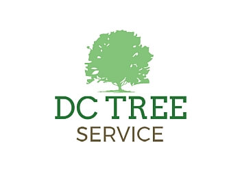3 Best Tree Services in Regina, SK - ThreeBestRated