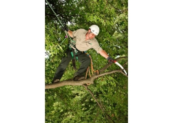 3 Best Tree Services in Nanaimo, BC - ThreeBestRated