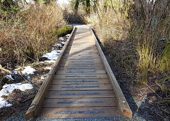 3 Best Hiking Trails in Langley, BC - ThreeBestRated