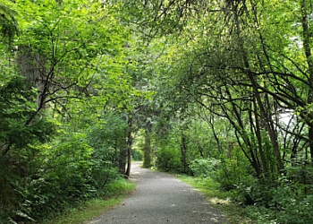 3 Best Hiking Trails in Langley, BC - ThreeBestRated