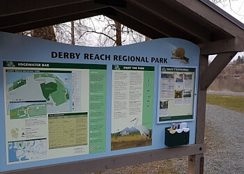 3 Best Hiking Trails in Langley, BC - ThreeBestRated