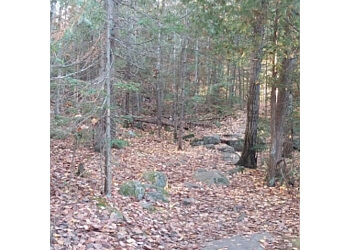 3 Best Hiking Trails in North Bay, ON - Expert Recommendations