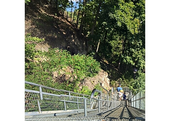 3 Best Hiking Trails in Hamilton, ON - Expert Recommendations