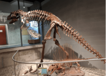 3 Best Places To See in Waterloo, ON - Expert Recommendations