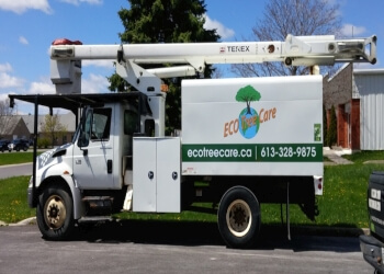 3 Best Tree Services in Kingston, ON - ThreeBestRated