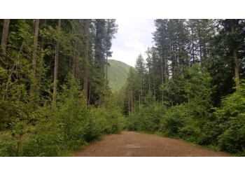 3 Best Hiking Trails in Chilliwack, BC - Expert Recommendations