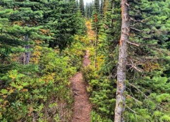 3 Best Hiking Trails in Chilliwack, BC - Expert Recommendations