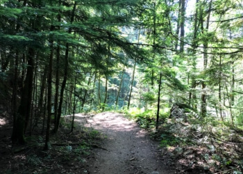 3 Best Hiking Trails in Chilliwack, BC - Expert Recommendations