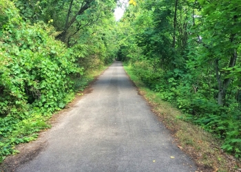 3 Best Hiking Trails in Hamilton, ON - ThreeBestRated