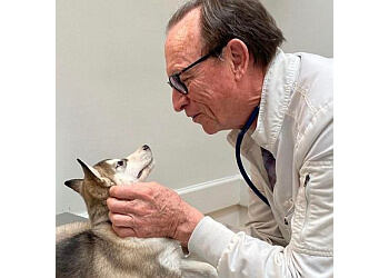 3 Best Veterinary Clinics in London, ON - Expert Recommendations