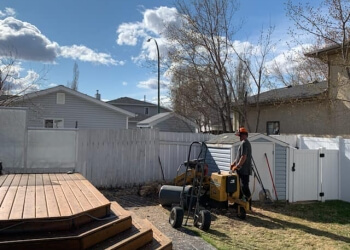 3 Best Tree Services in Saskatoon, SK - Expert Recommendations