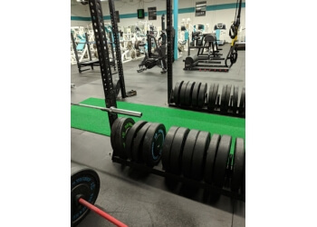 3 Best Gyms in Barrie, ON - Expert Recommendations