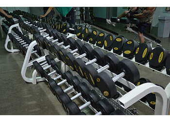 3 Best Gyms in Brantford, ON - Expert Recommendations