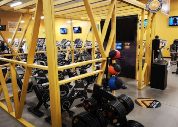 3 Best Gyms in Peterborough, ON - Expert Recommendations