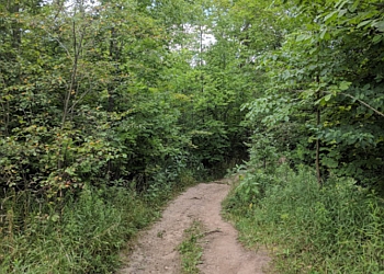 3 Best Hiking Trails in Caledon, ON - ThreeBestRated