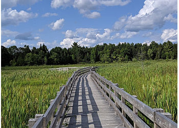 3 Best Hiking Trails in Belleville, ON - Expert Recommendations
