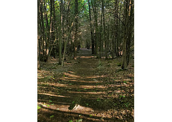 3 Best Hiking Trails in Belleville, ON - Expert Recommendations