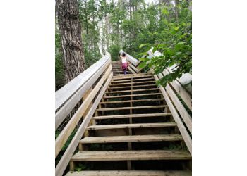 3 Best Hiking Trails in Red Deer, AB - Expert Recommendations