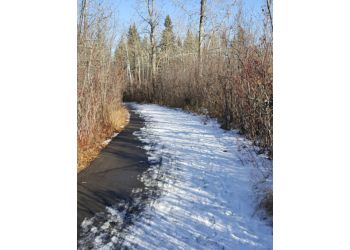 3 Best Hiking Trails in Red Deer, AB - Expert Recommendations