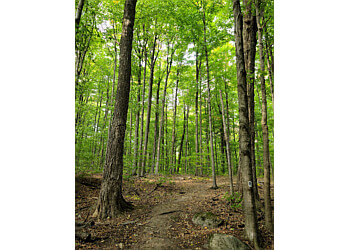 3 Best Hiking Trails in Caledon, ON - ThreeBestRated
