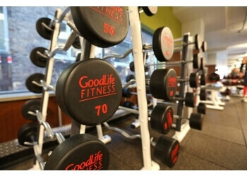 3 Best Gyms in Guelph, ON - Expert Recommendations
