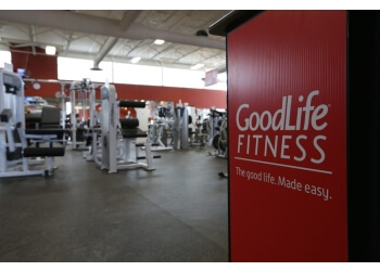 3 Best Gyms in Winnipeg, MB - Expert Recommendations