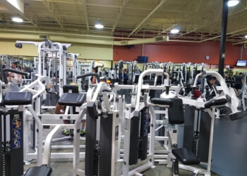 3 Best Gyms in Calgary, AB - Expert Recommendations