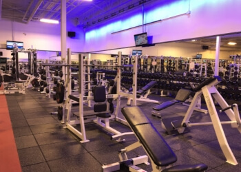 3 Best Gyms in Calgary, AB - Expert Recommendations