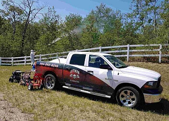 3 Best Pest Control in Saskatoon, SK - Expert Recommendations