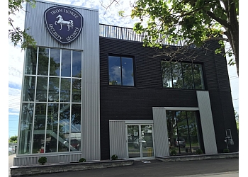 3 Best Security Guard Companies in Ottawa, ON - Expert Recommendations