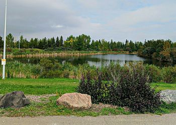 3 Best Public Parks in Edmonton, AB - Expert Recommendations