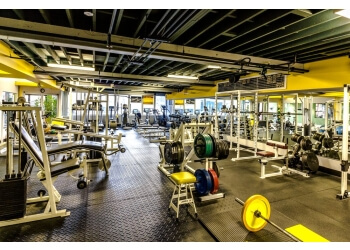 3 Best Gyms in Calgary, AB - Expert Recommendations