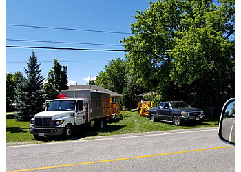 3 Best Tree Services in Sarnia, ON - Expert Recommendations