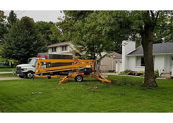 3 Best Tree Services in Sarnia, ON - Expert Recommendations