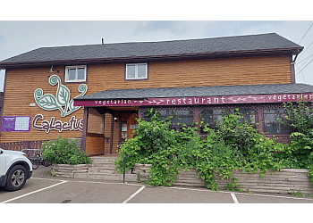 3 Best Vegetarian Restaurants in Moncton, NB - Expert Recommendations