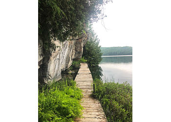 3 Best Hiking Trails in Huntsville, ON - Expert Recommendations